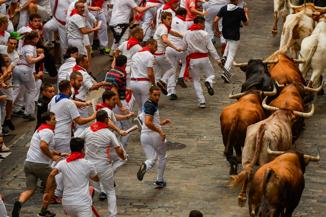 The Complete Pamplona Bull Run Guide – BullBalcony
