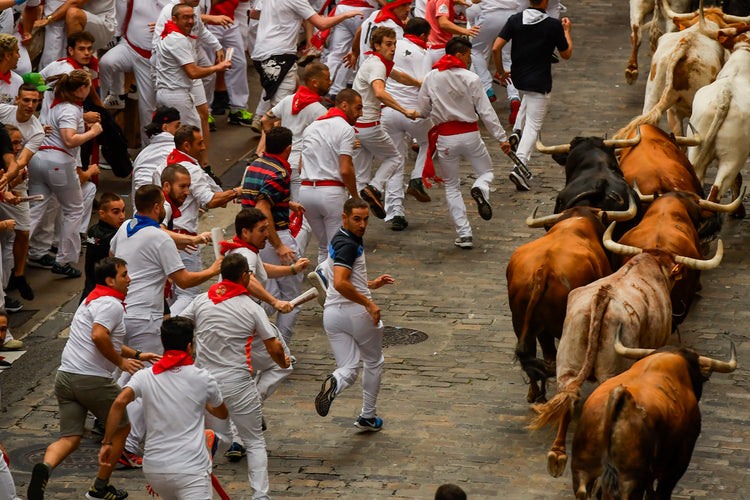 The Complete Pamplona Bull Run Guide – BullBalcony