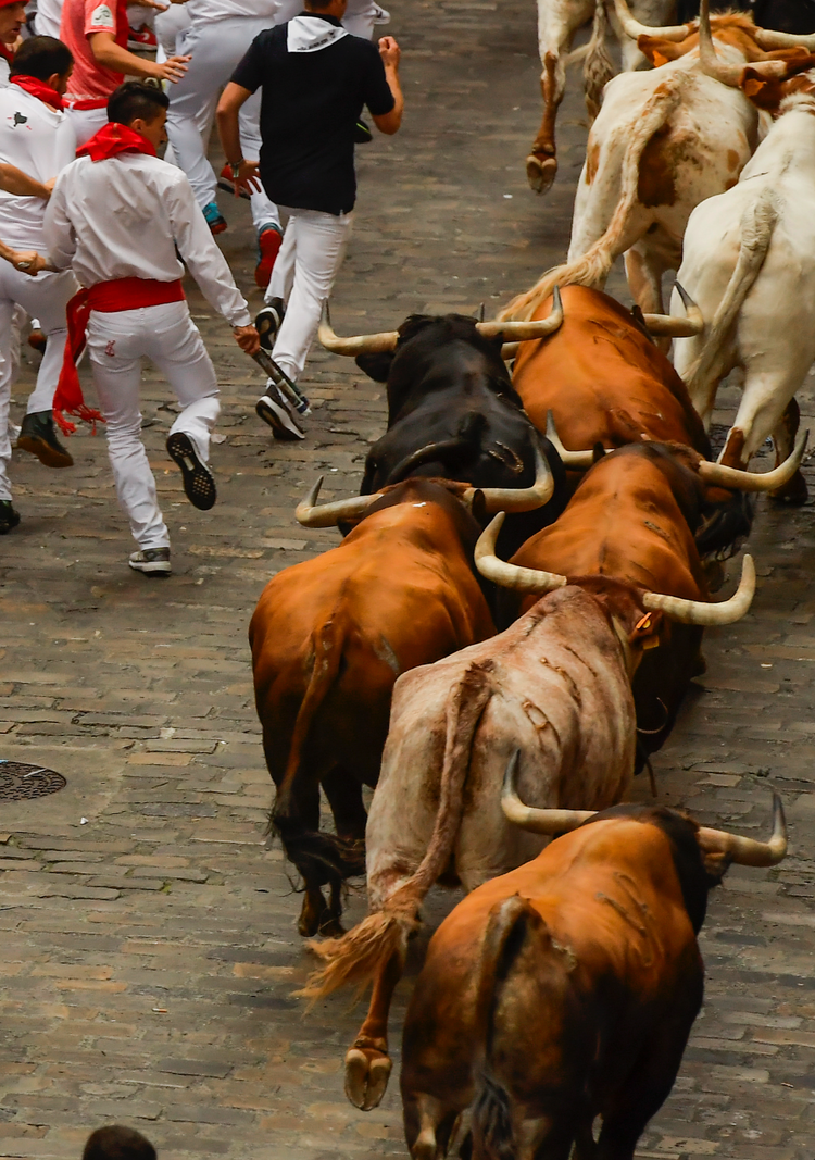 The Complete Pamplona Bull Run Guide – BullBalcony