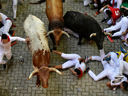 The Complete Pamplona Bull Run Guide – BullBalcony
